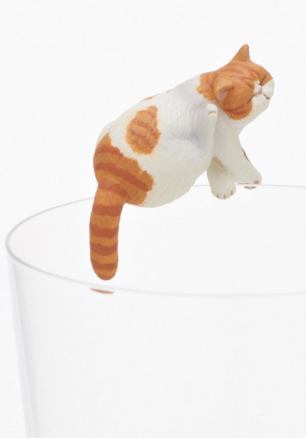 Exotic Shorthair Cat Blind Box | Kutame