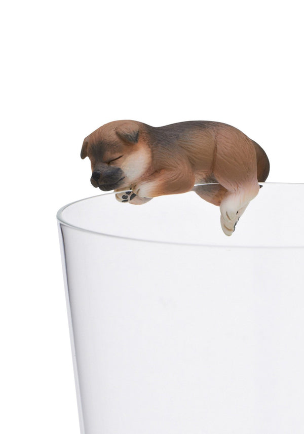 Shiba Inu Dog Blind Box | Kutame